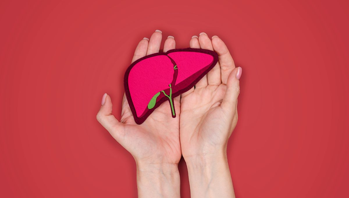 ¿Cómo tener un hígado sano? 3 tips para mejorar su salud - Serzen