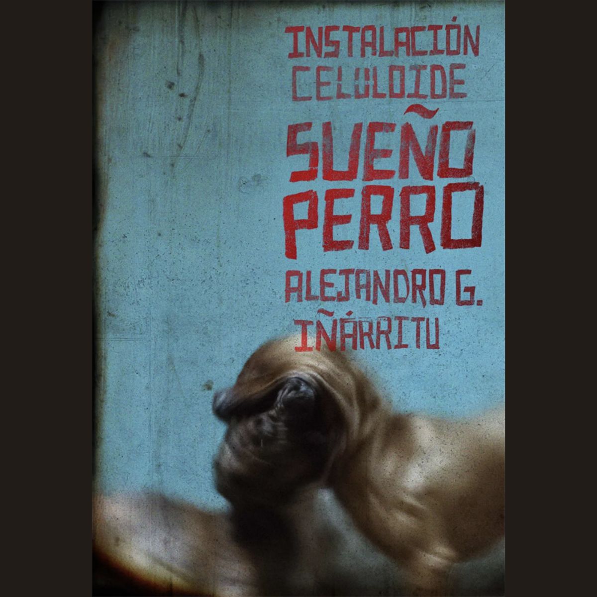 Sueño Perro: de qué trata y cómo registrarte a la exposición de ...
