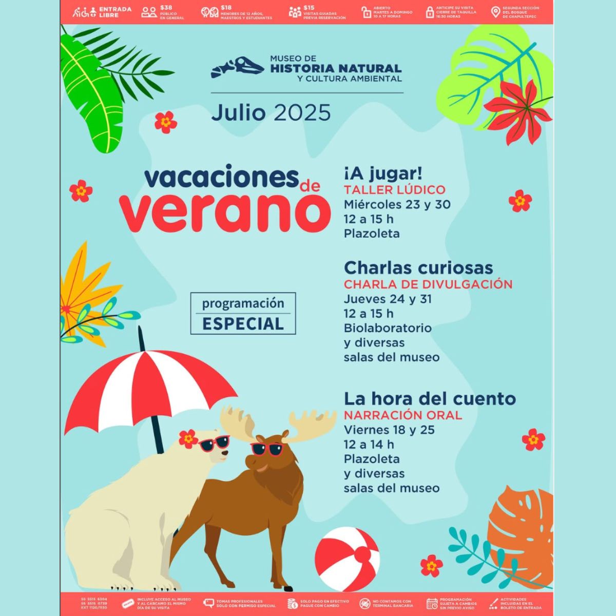 Vacaciones de verano: actividades especiales en el Museo de Historia ...