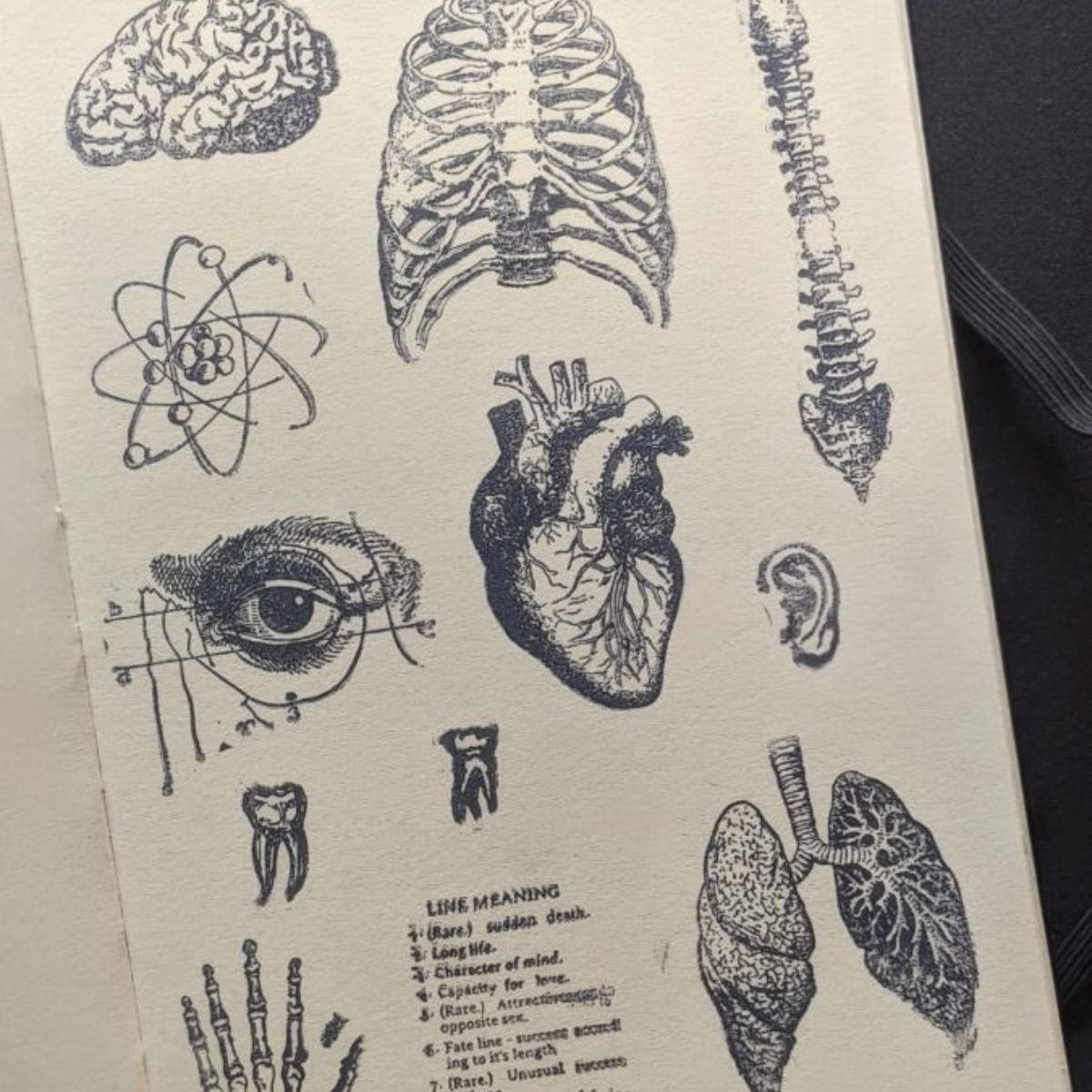 ¿Qué es un Skeetch book? 5 ideas para inspirarte a crear el tuyo - Serzen