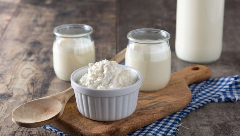 ¿Cómo hacer yogurt búlgaro? - Serzen